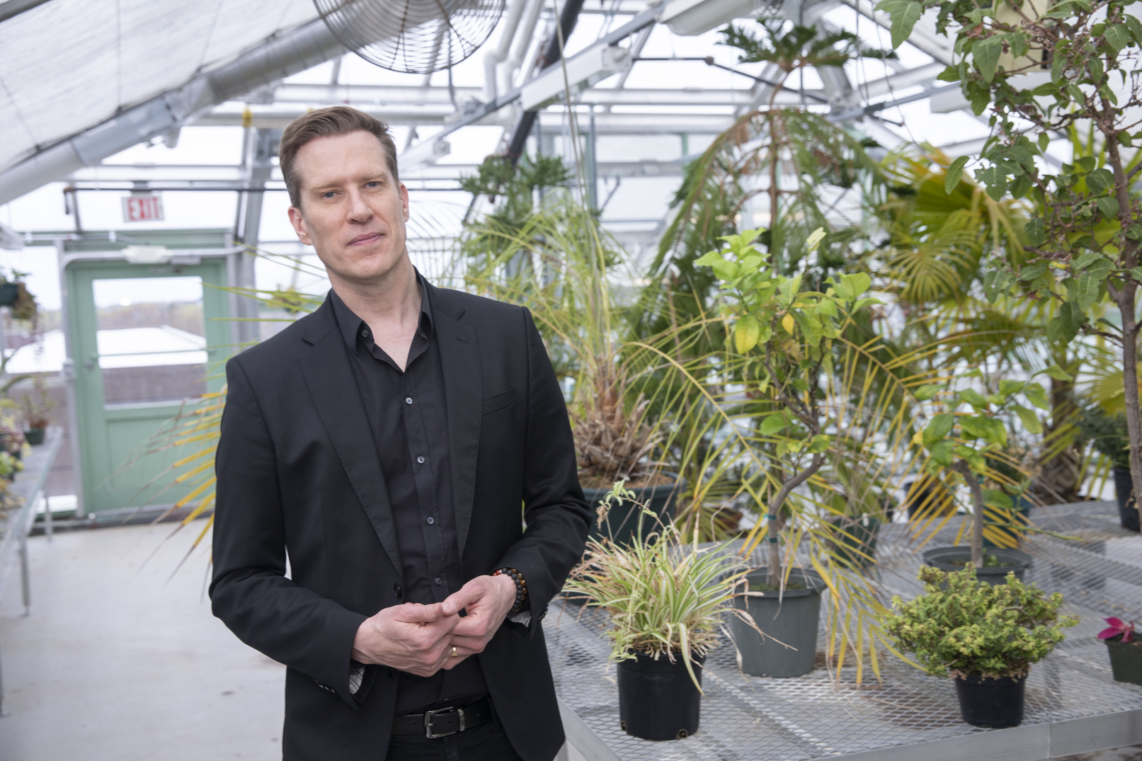 Mapping our deep-rooted relationship with medicinal plants— Harvard Gazette