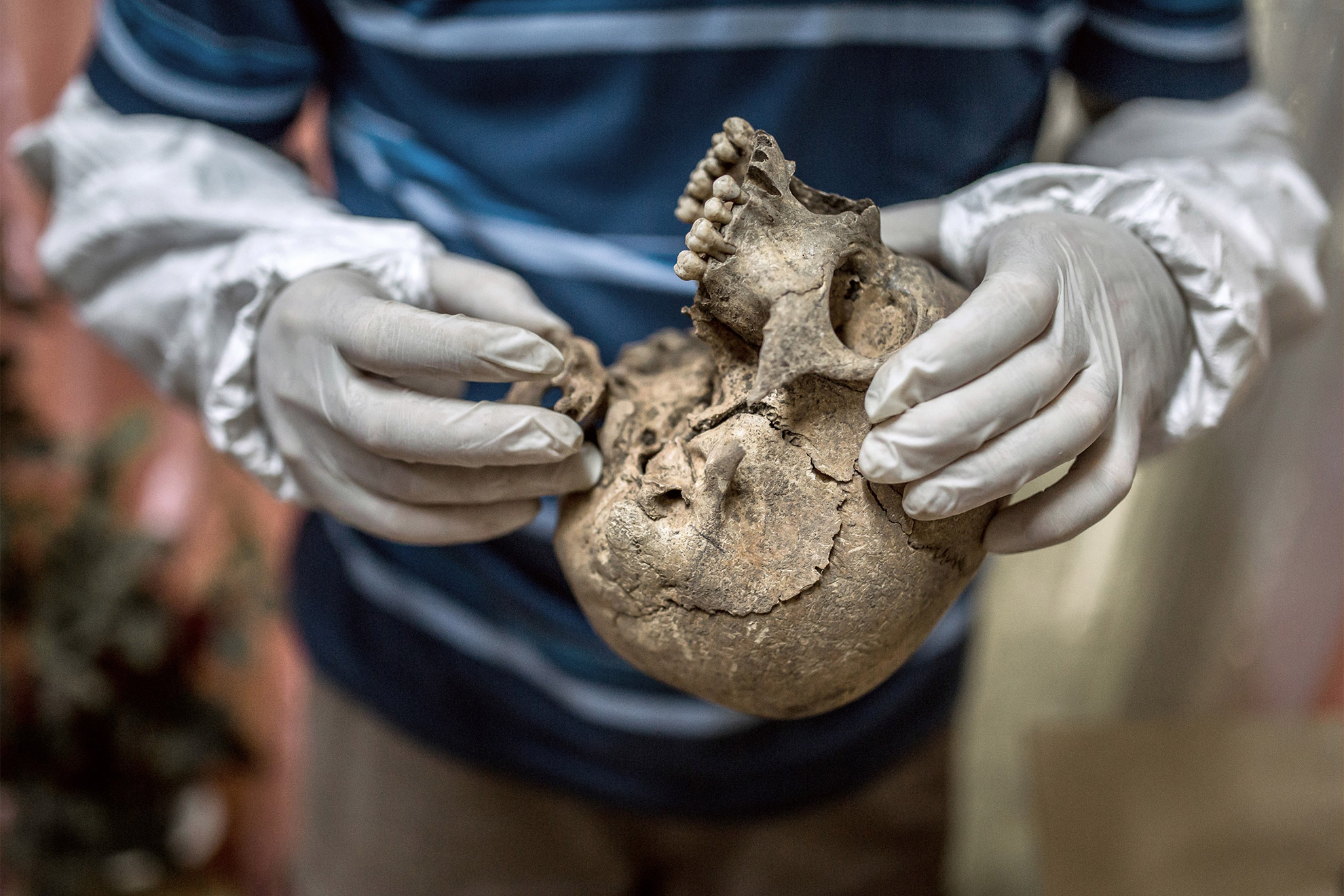 Ancient DNA shows ‘intense connectivity,’ rapid migration from Ural ...