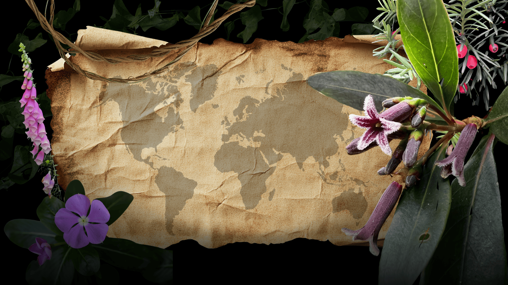 Mapping our deep-rooted relationship with medicinal plants— Harvard Gazette