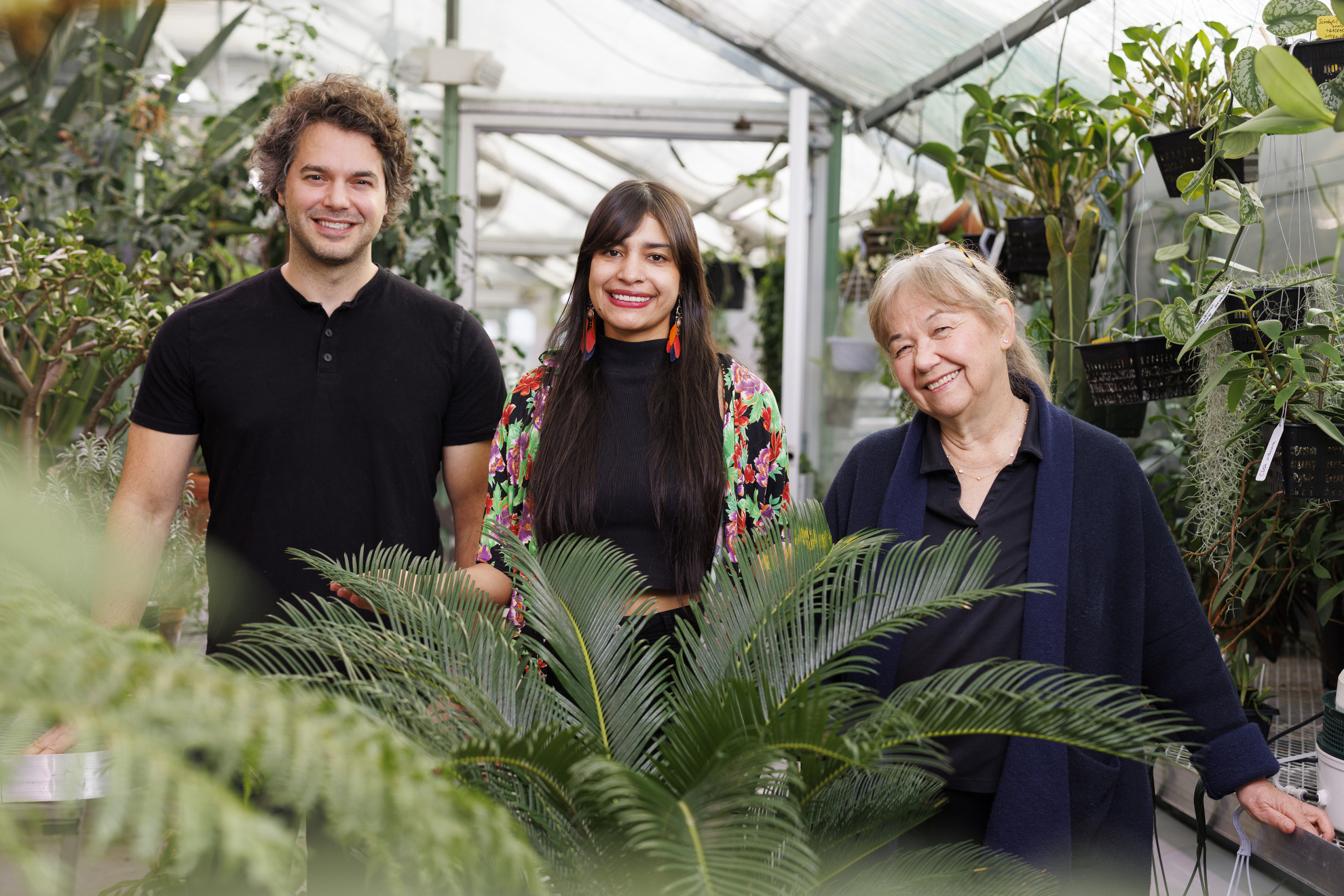 Researchers fight to save frogs from extinction — Harvard Gazette