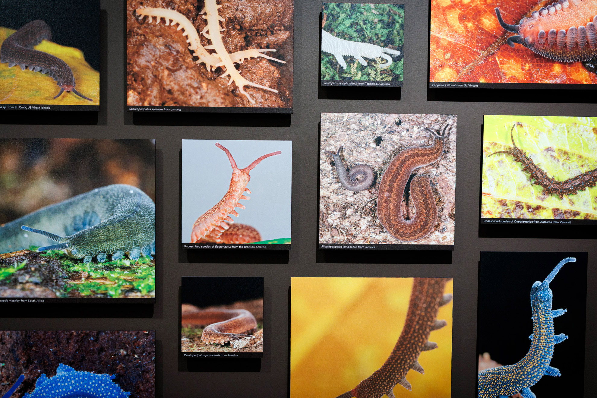 How did life begin on Earth? Research zeroes in on lightning strikes ...