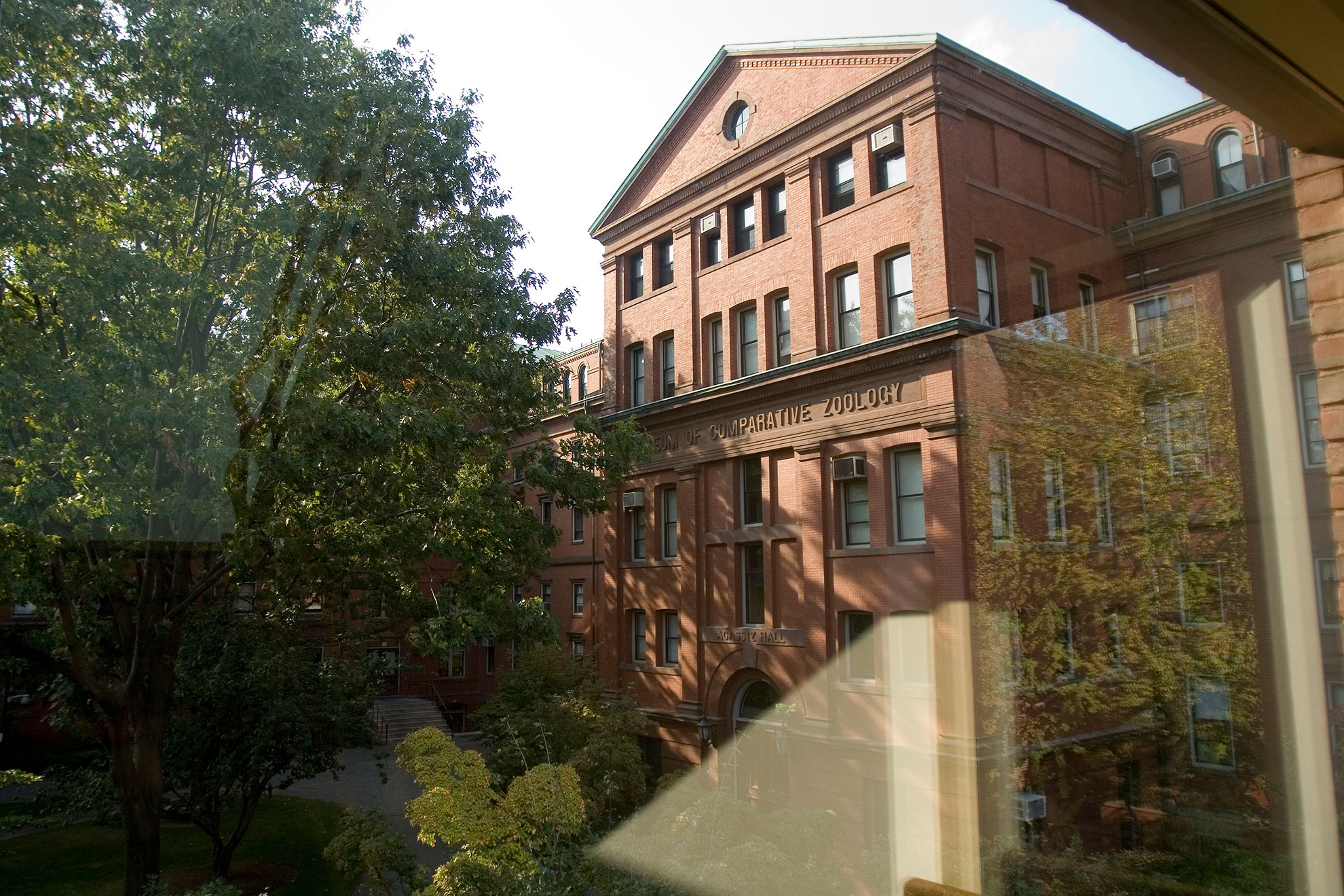 Harvard appoints four University Professors — Harvard Gazette