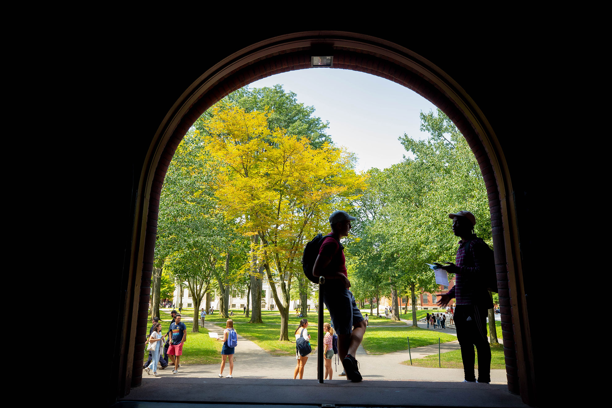 ‘Designed to be different’: Harvard unveils Rubenstein Treehouse — Harvard Gazette