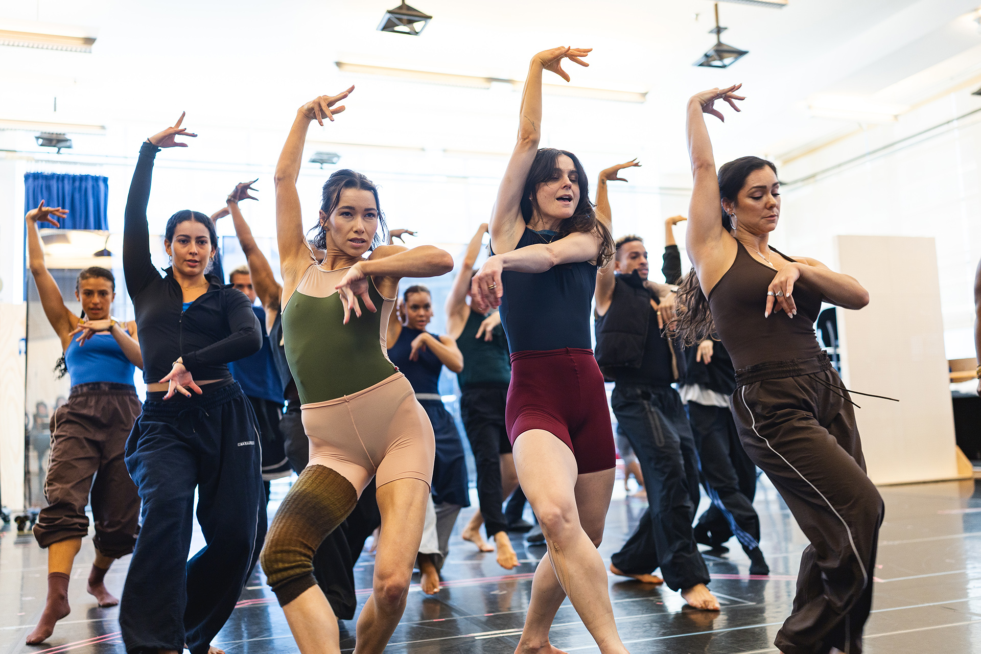 ‘Black Swan’ as a musical? — Harvard Gazette